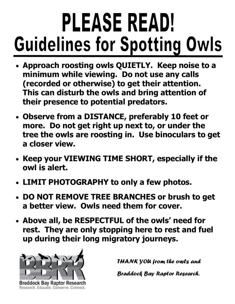 Owl Surveys | Braddock Bay Raptor Research
