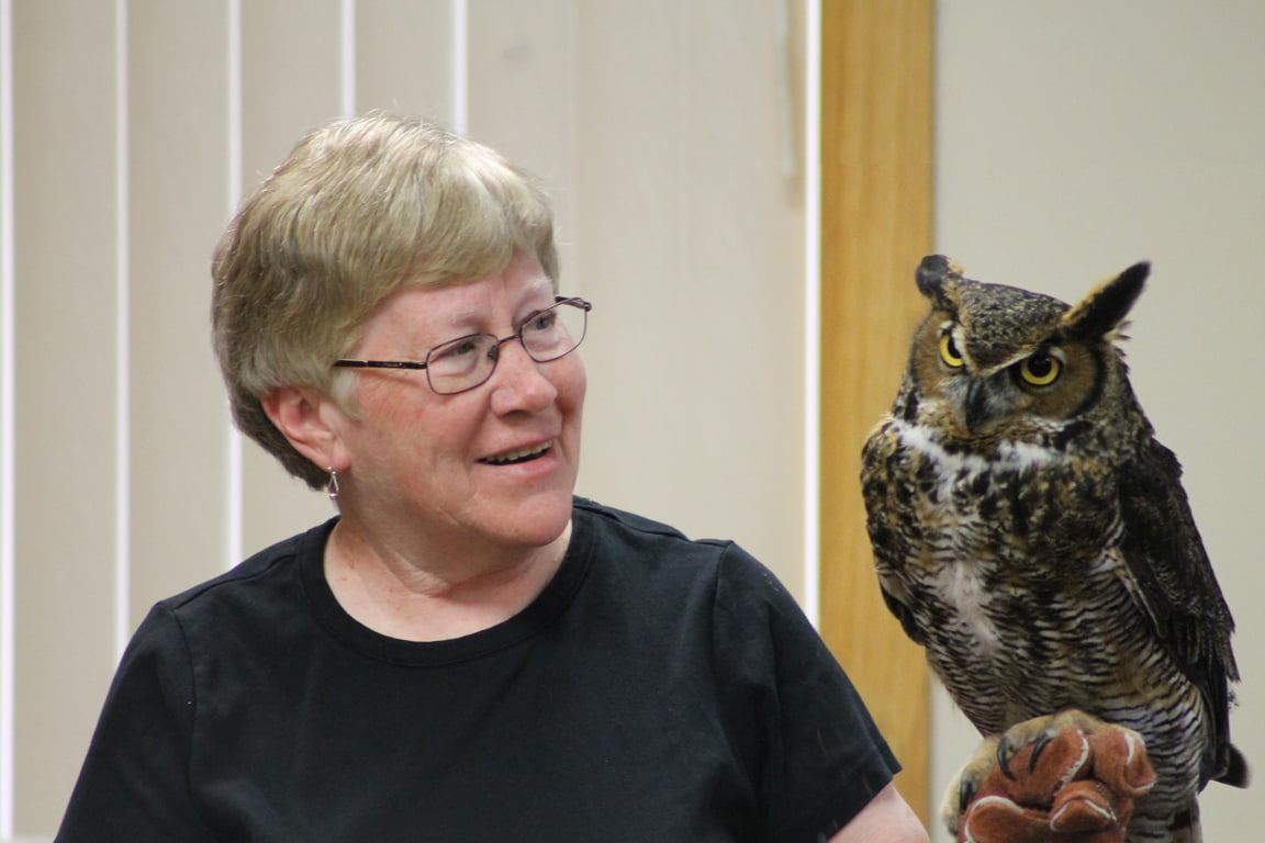The Mysteries of Migration | Braddock Bay Raptor Research